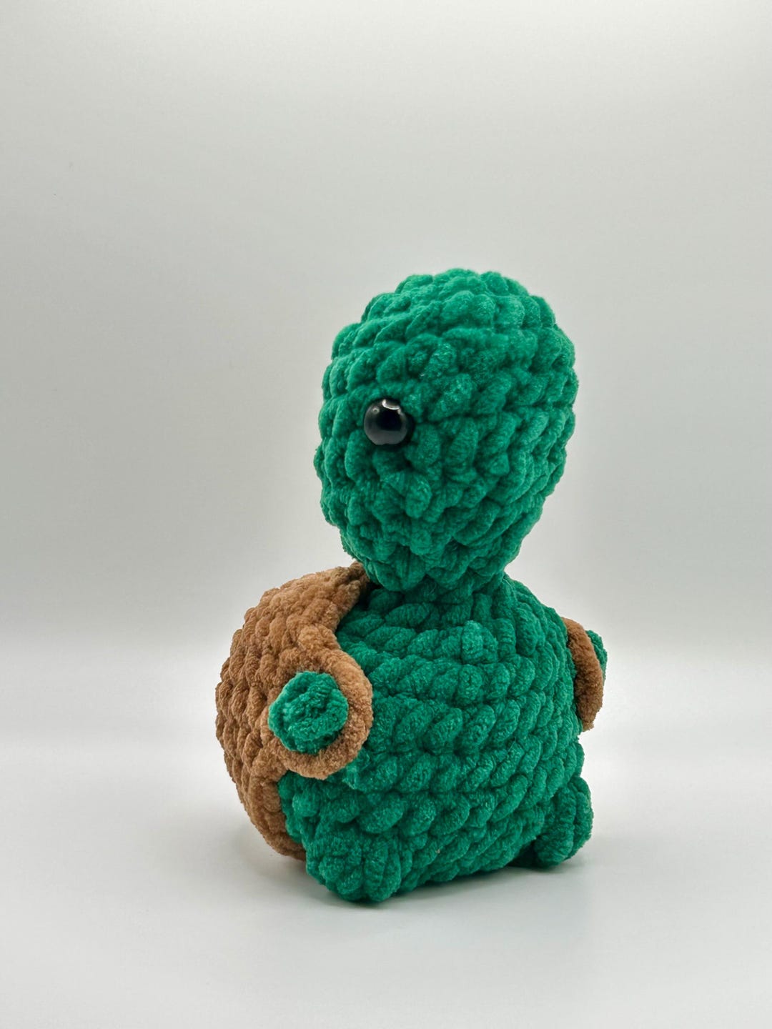 Cheeky Turtle - Etsy