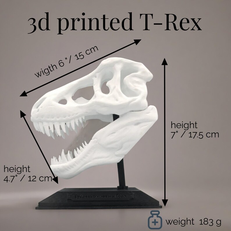 3d-printed T-rex Skull – Prehistoric Dinosaur Decor for Kids’ Rooms or ...