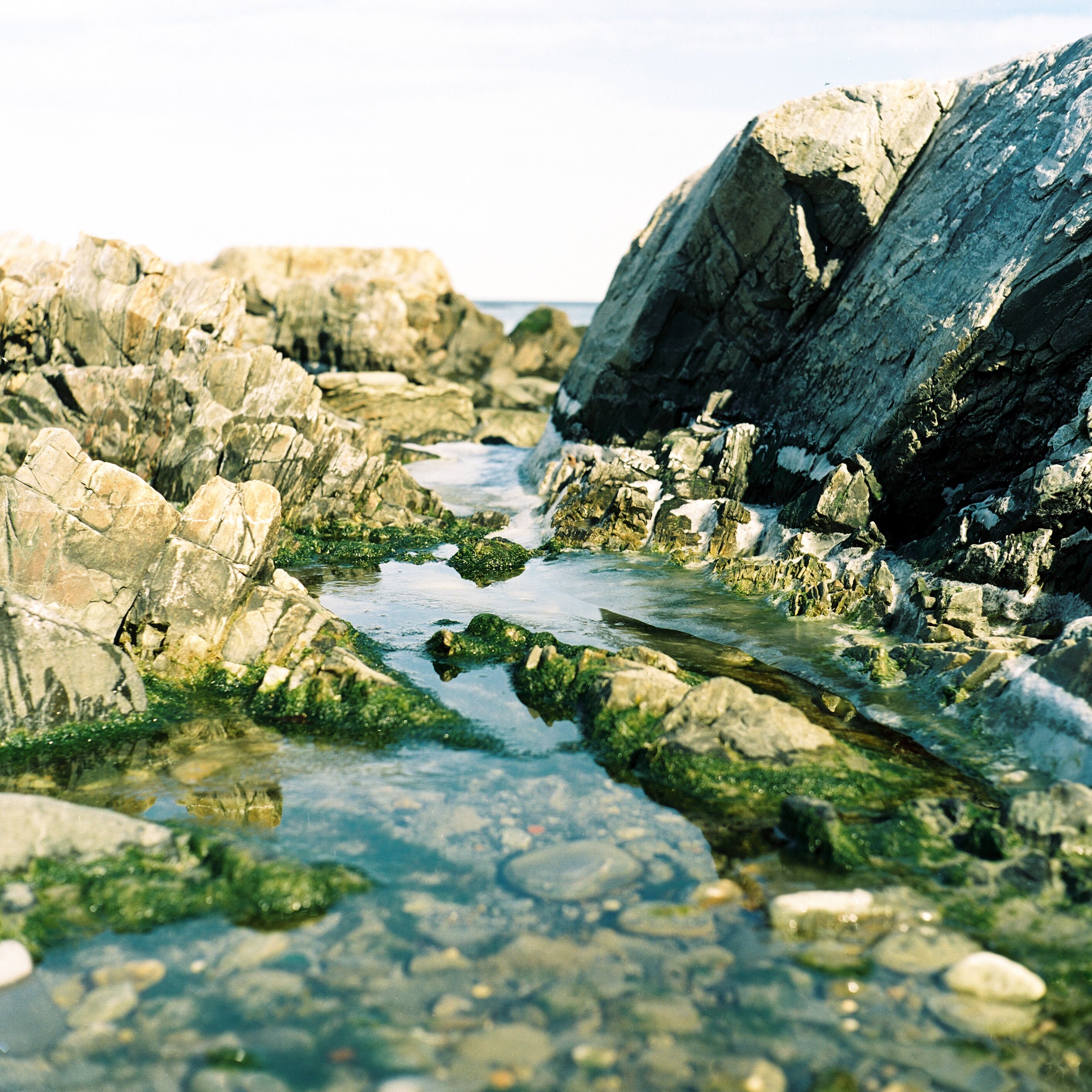 Beach Tidal Pool - Square Photo - Instant Download - Etsy