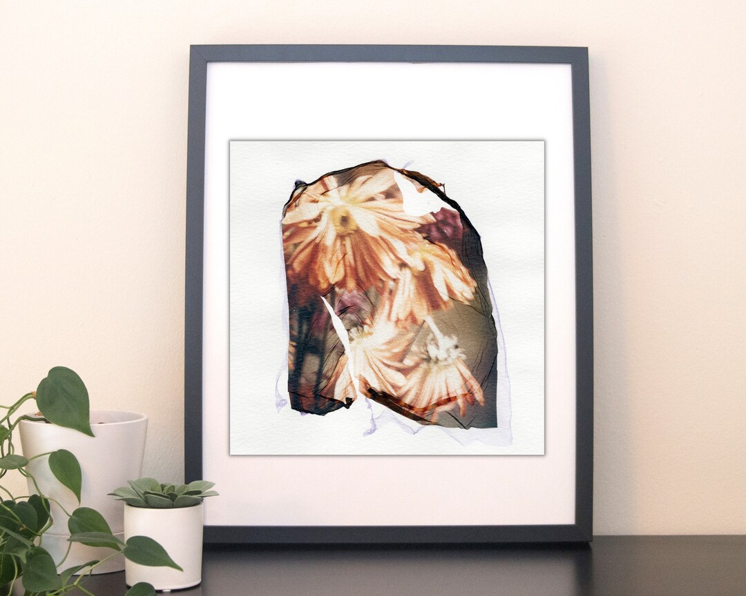 Flower - Polaroid Transfer - Digital Download - Etsy