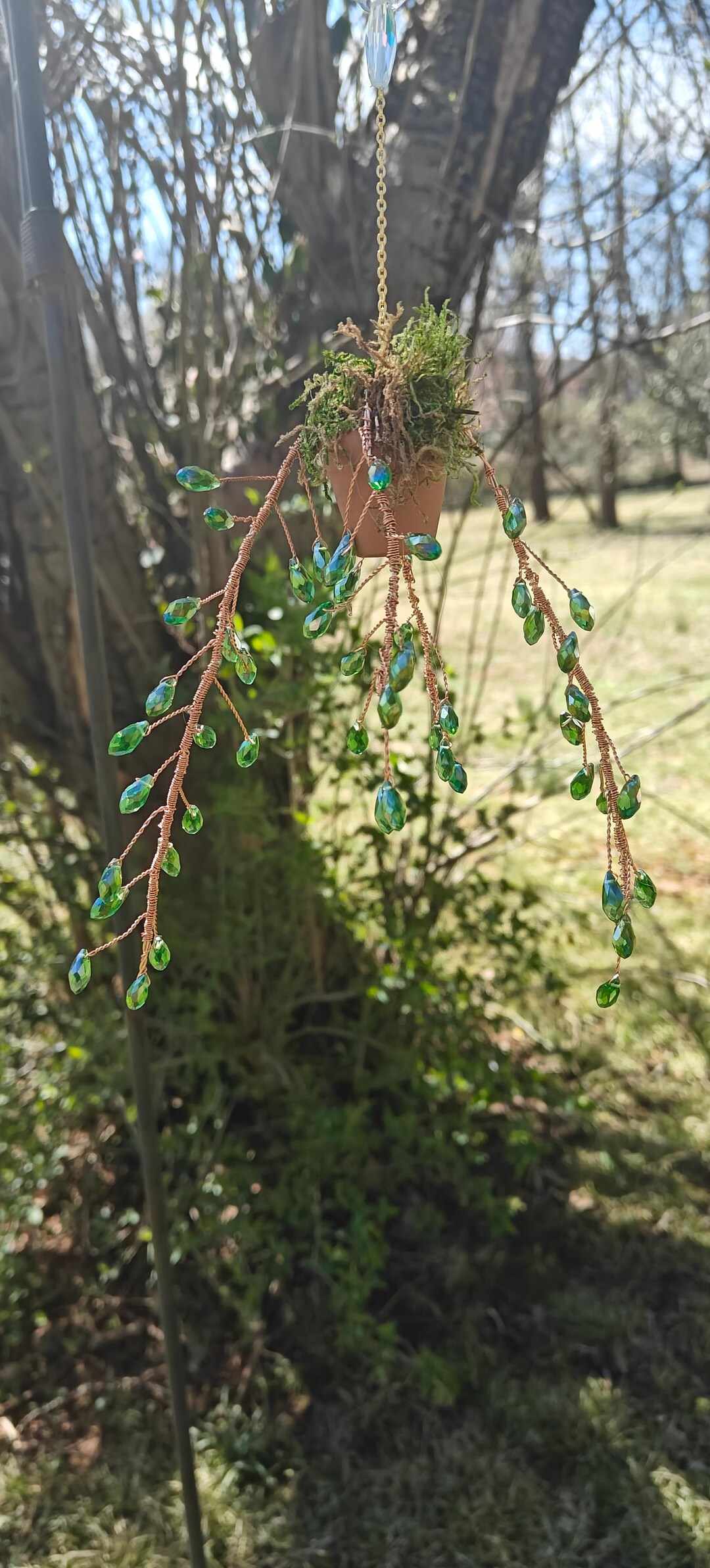 Forever Succulent - Etsy