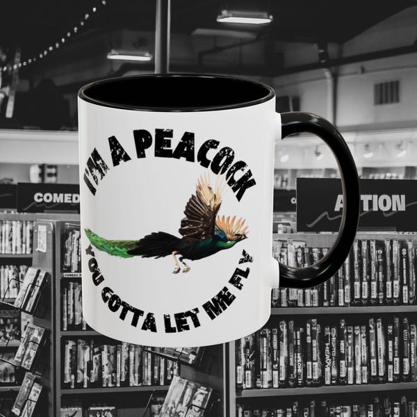 Fly Guy Mug - Etsy
