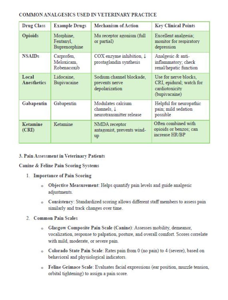 VTNE 2026 Study Guide: 208 Pages of Notes & Practice Questions (digital ...