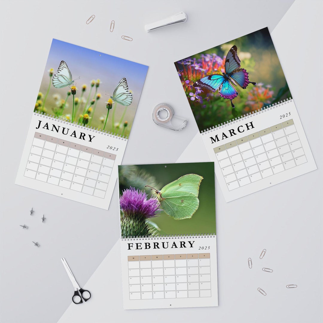 Trendy Butterfly Wall Calendar, 2025 Calendar With Butterflies, Nature ...