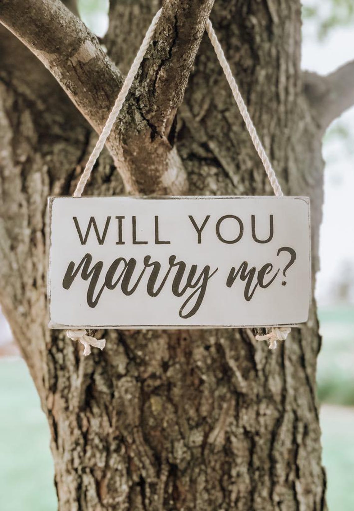 Will You Marry Me?, Will You Marry Me Sign, Mini Sign, Mini Hanging ...