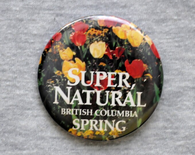 Classic-“british Columbia Provincial Shield” Lapel Pin - Etsy Canada