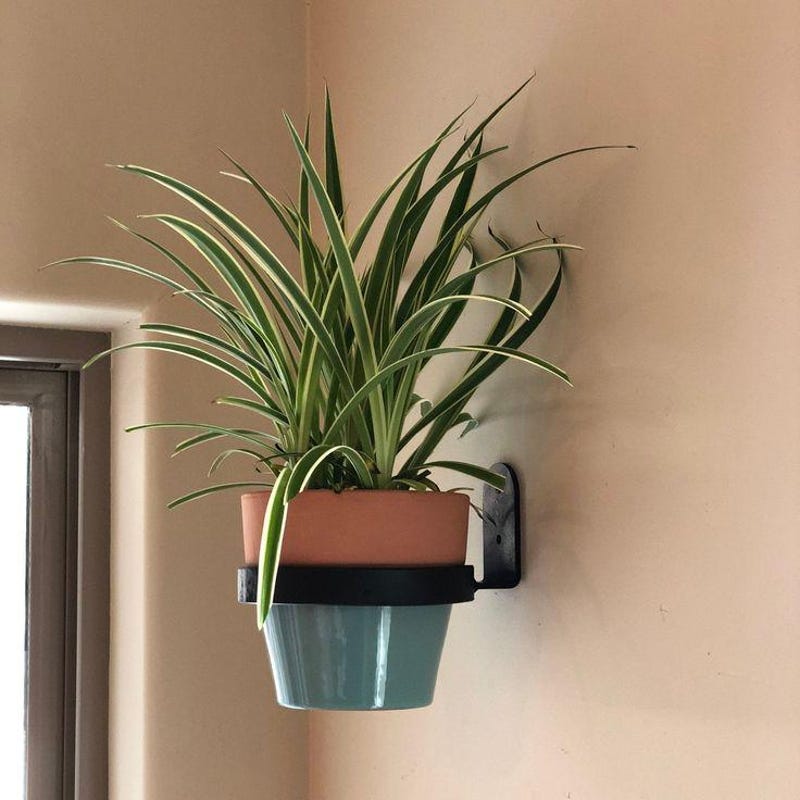 Sconce Planter - Etsy