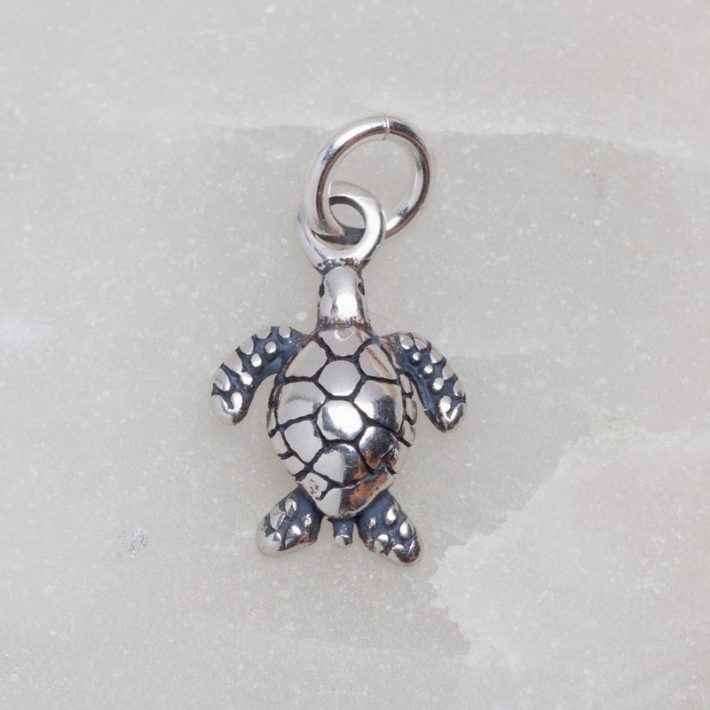 Turtle Charms - Etsy