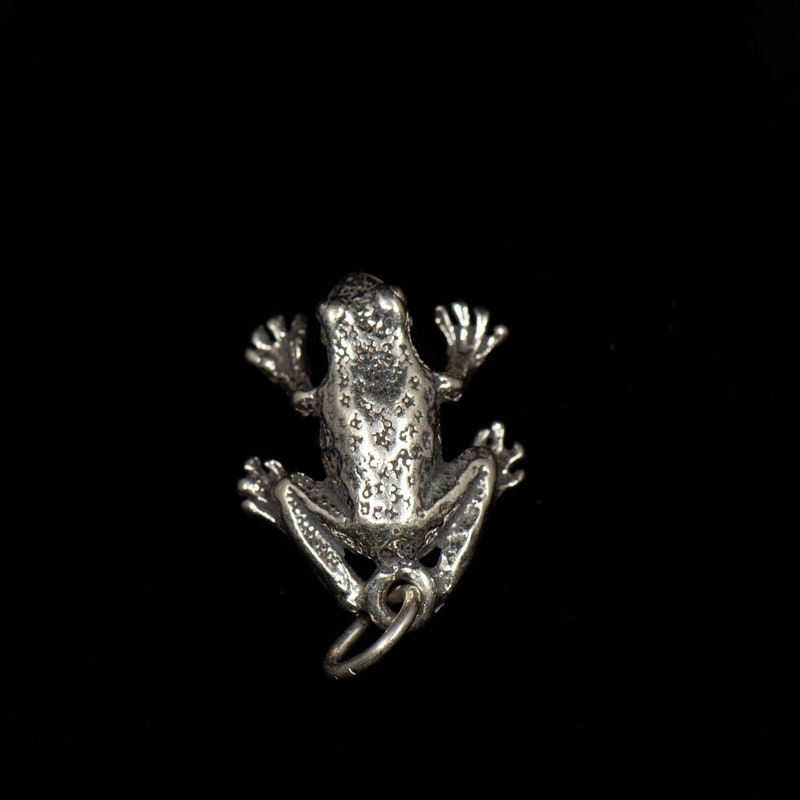 Sterling Silver Frog Charm - Etsy