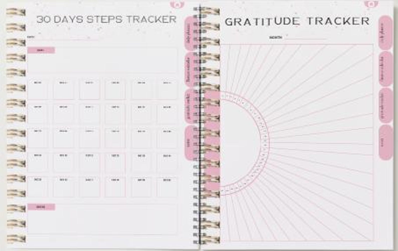 Manifesting HER Ultimate Planner and Journal- PERSONAL Use ONLY - Etsy