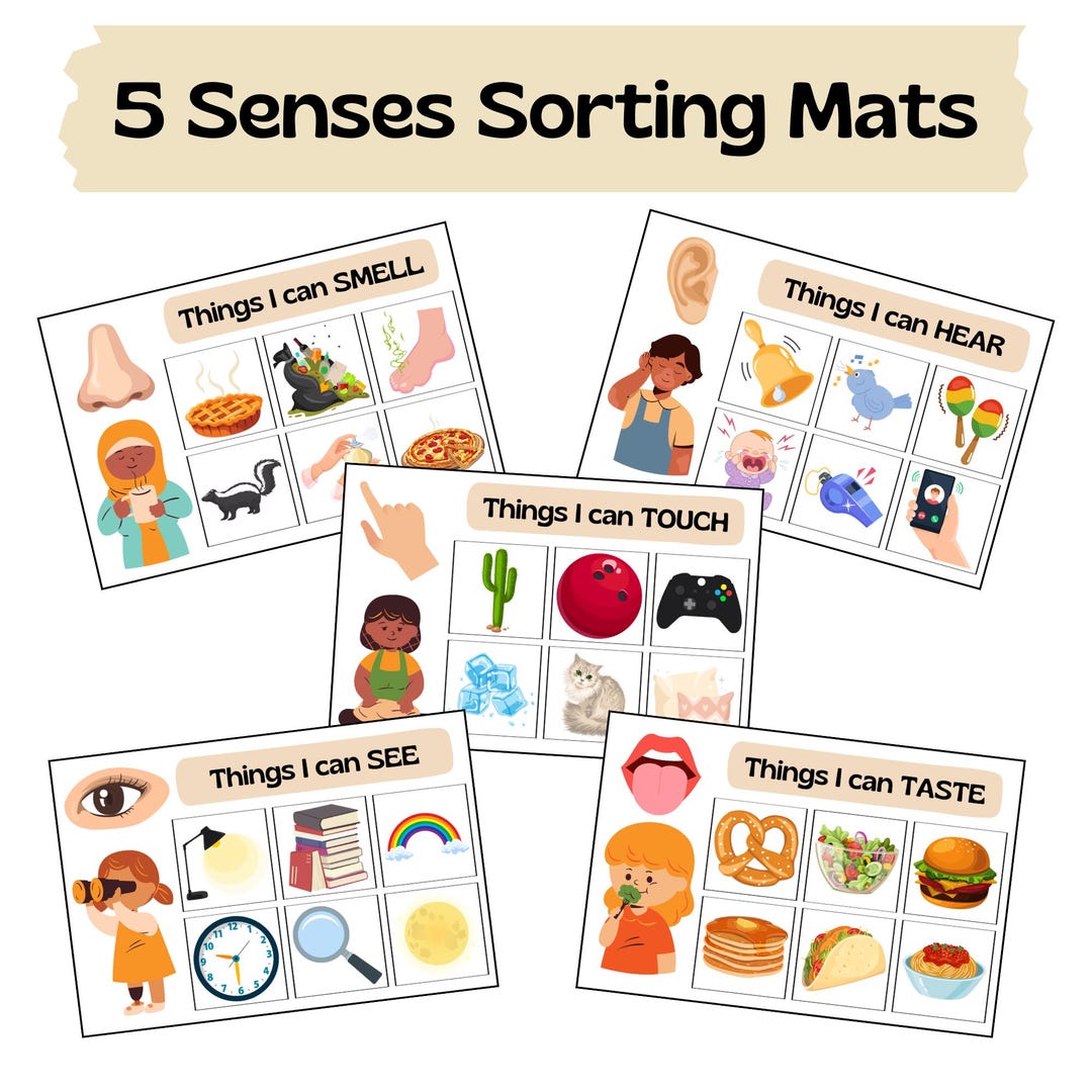 5 Senses Sorting Mats: Inclusive Learning Activity (PDF Pattern) - Etsy