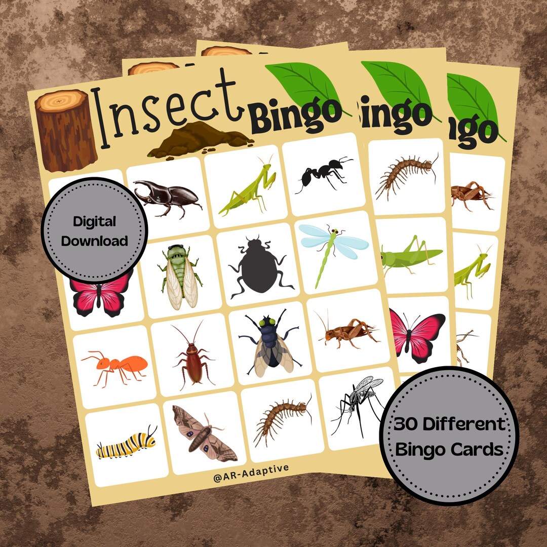 Insects Bingo Game, Insects Classroom Activity, Inclusive Bingo, 30 ...