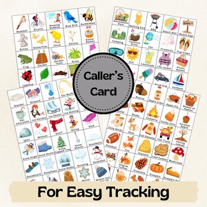 Seasons Bingo Game, All Seasons Classroom Activity, Inclusive Bingo, 30 ...