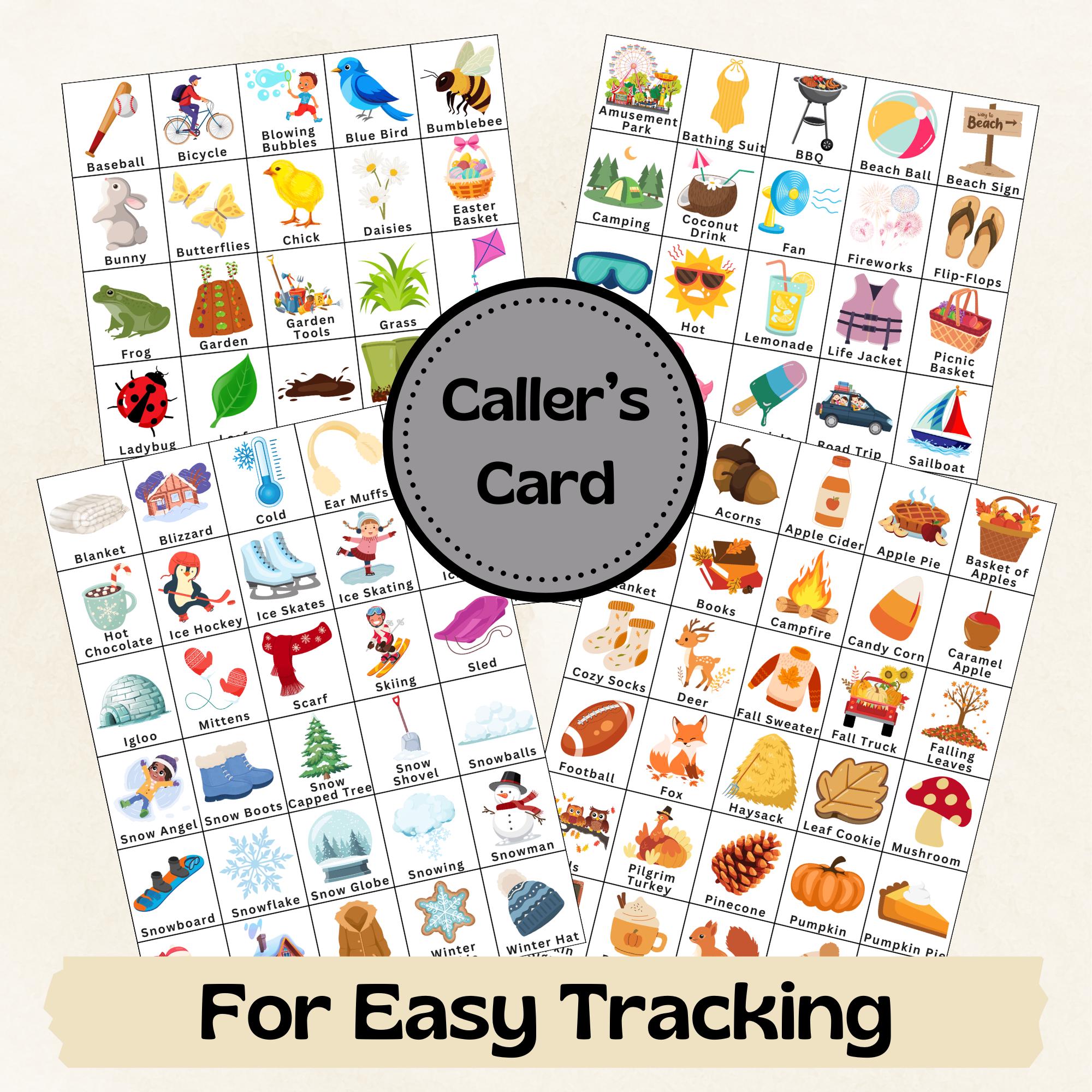 Seasons Bingo Game, All Seasons Classroom Activity, Inclusive Bingo, 30 ...