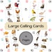 Printable Pets Bingo Game | Educational Animal Activity for Kids ...