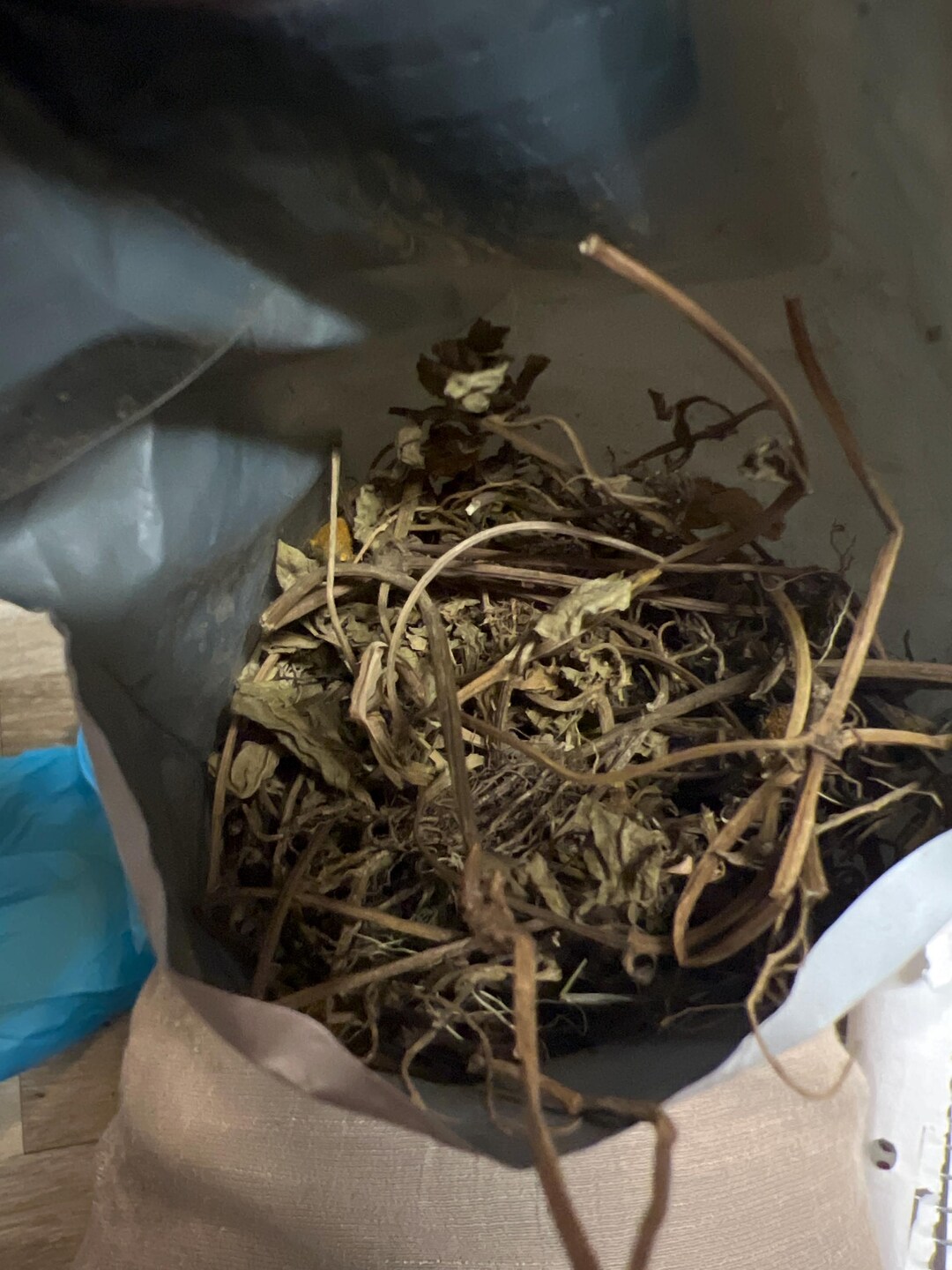 IFA Ewe Sawerepepe Repel Curses Attract Good Luck - Etsy