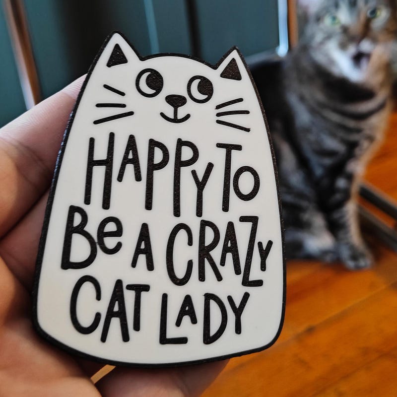 Crazy Cat Lady - Etsy