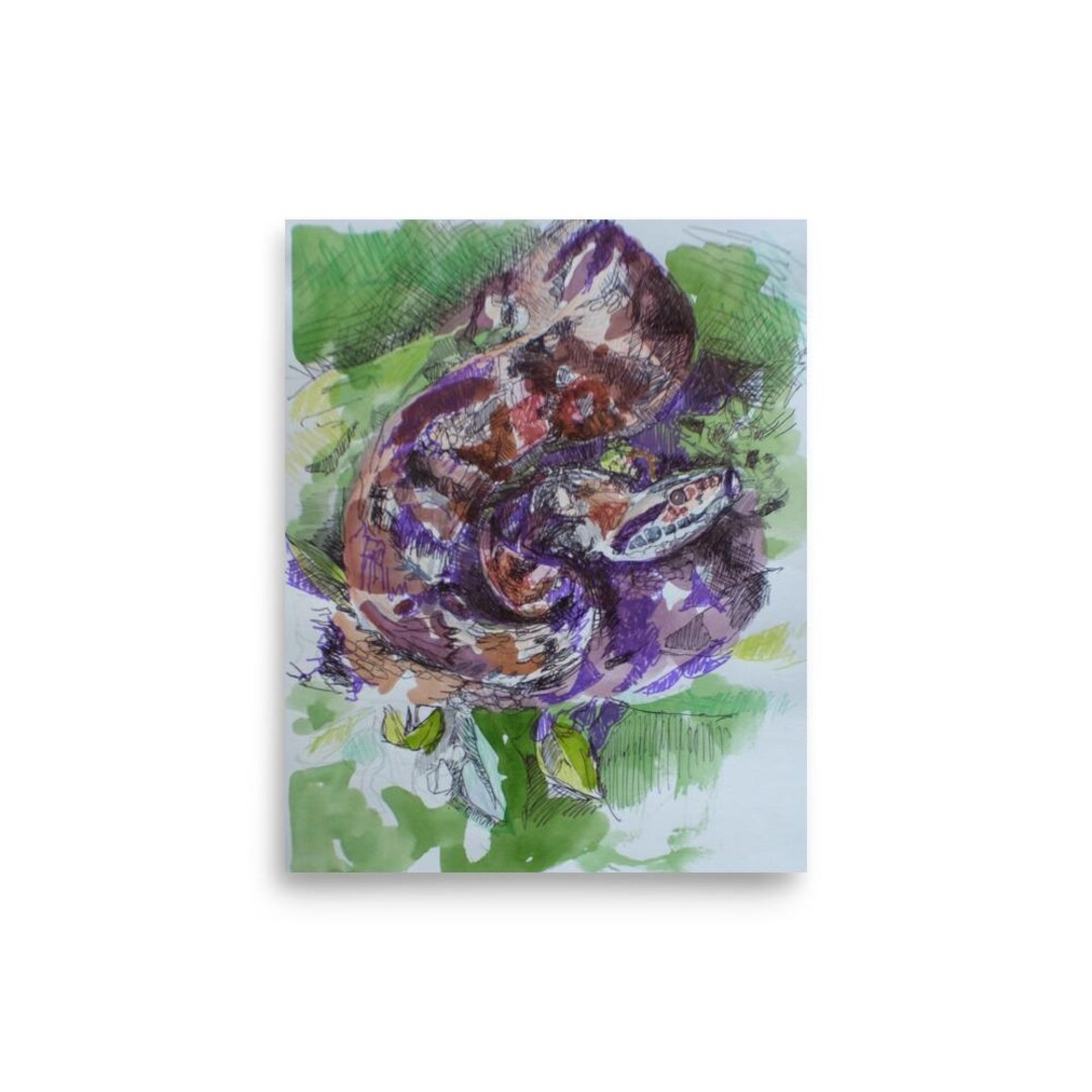 Pit Viper bothrops Jararaca Unframed Print - Etsy