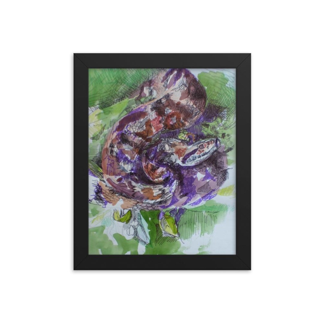 Pit Viper bothrops Jararaca Framed Print - Etsy