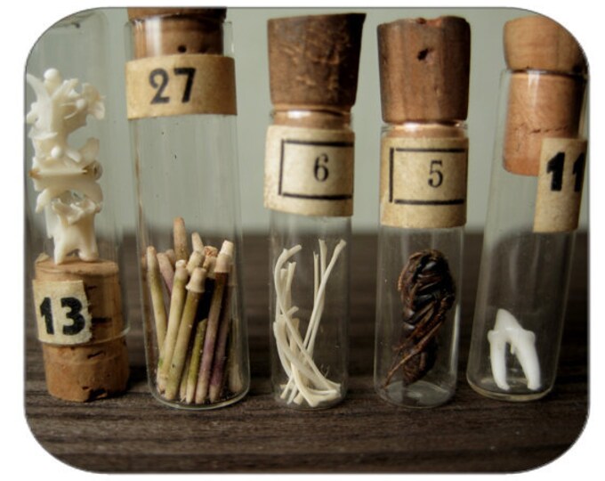 Specimen Collection in Vintage Vials Mixed Lot Qty. 5 Lot 694 - Etsy