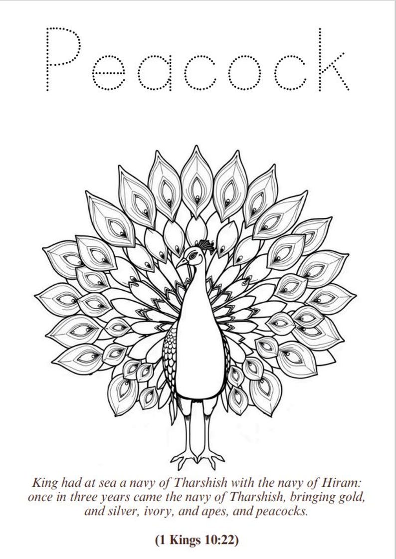 Christian Alphabet Coloring Pages | Bible ABC Printables | Sunday ...