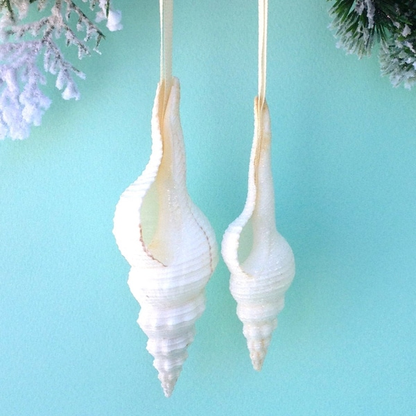 Seashell Ornaments - Etsy