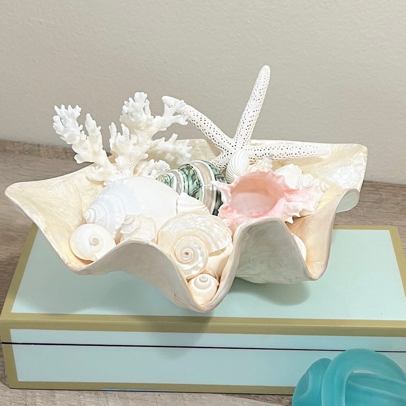 Shell Decor - Etsy