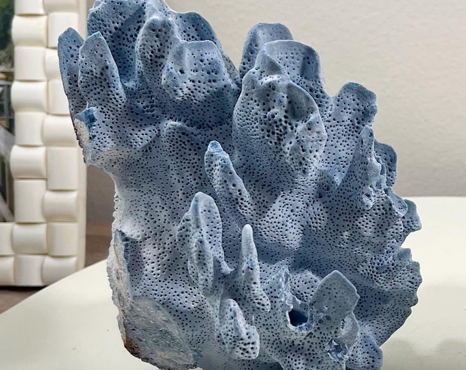 Natural Blue Corals Sold Individually - Real Corals Coastal Decor 35th ...