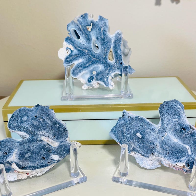 Coral - Etsy