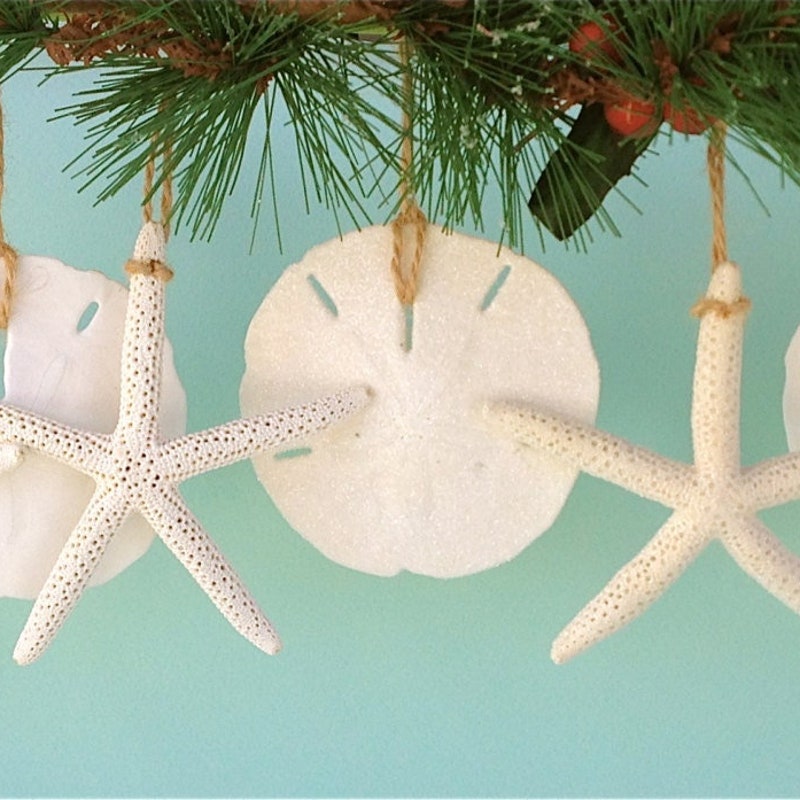 Seashell Christmas Ornaments - Etsy