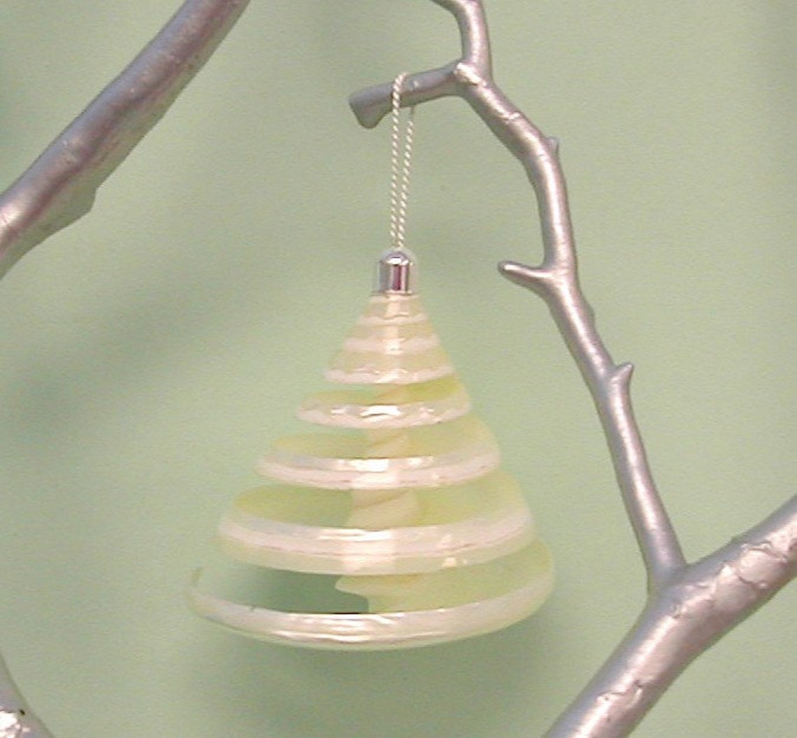 Beach Christmas Shell Ornament Spiral Cut Troca Shell - Etsy
