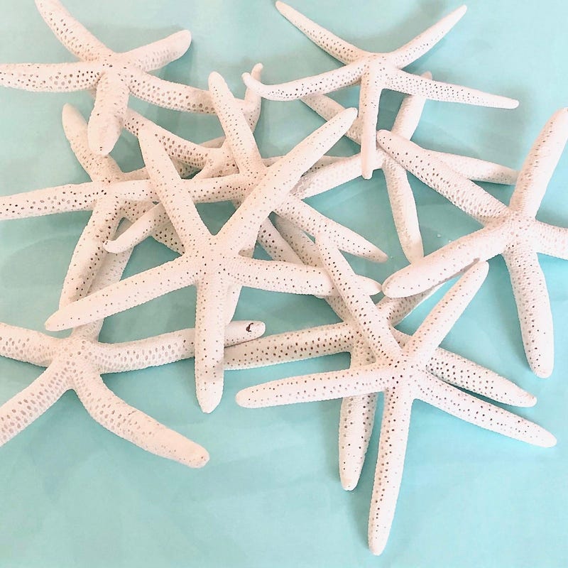 Bulk Starfish - Etsy