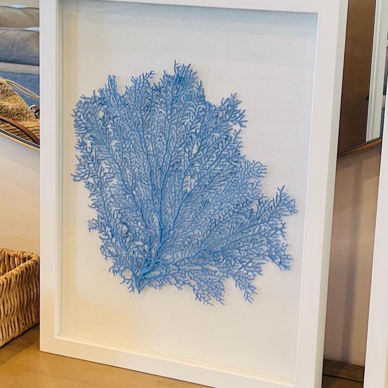 Sea Fan Wall Art - Etsy