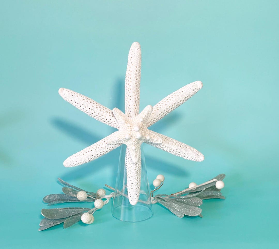 Starfish Christmas Tree Topper - Rare Six Arm Starfish - Real Starfish ...