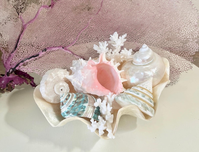Capiz Shell Bowl With Sea Life - Seashells-beach Decor-sea Shell Decor ...