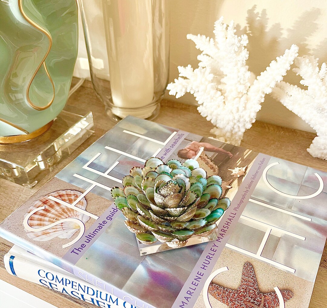 Seashell 'flower on Lucite Stand Natural real Beach Decor/coastal/sea ...