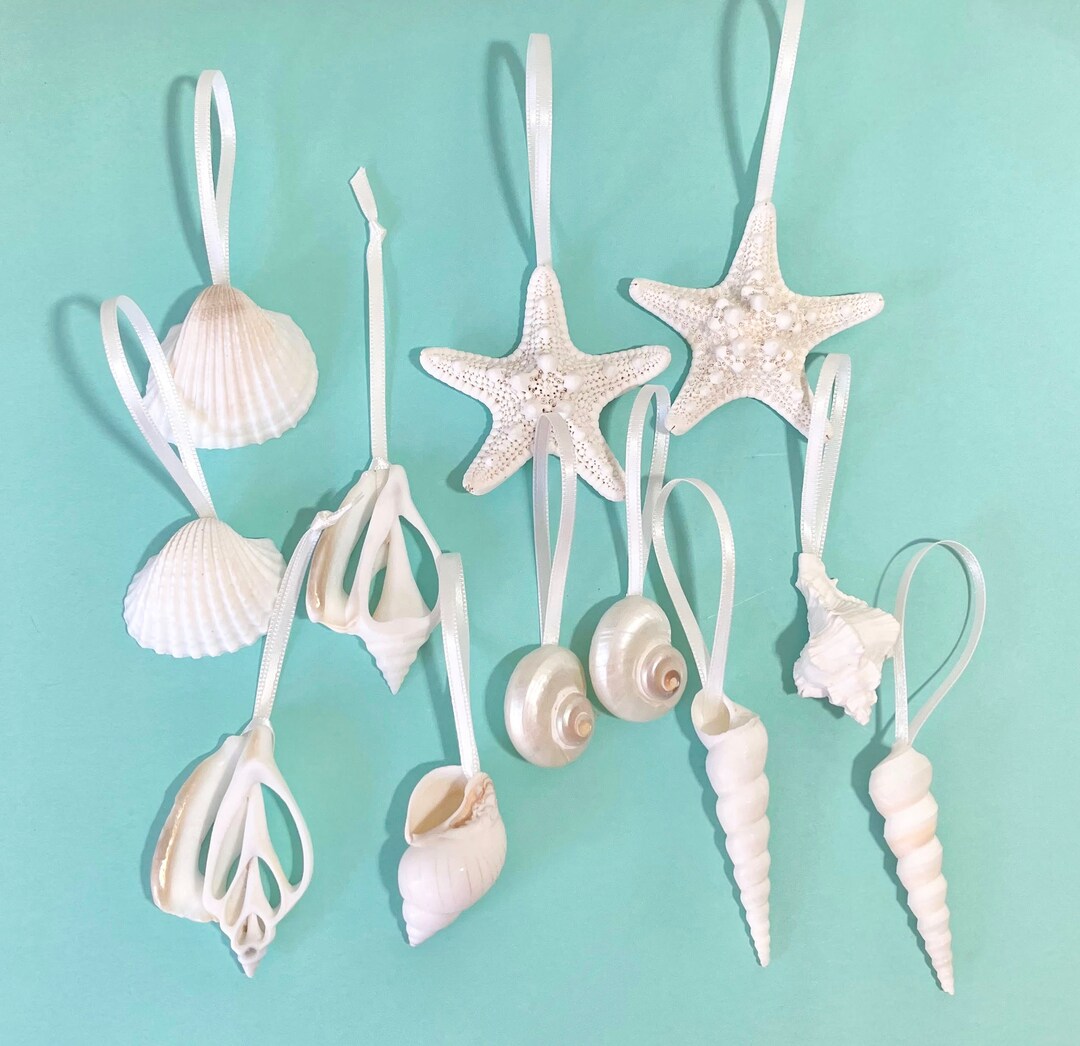 Mini Shell Christmas Ornaments Set of 12 Natural Seashell Ornaments ...