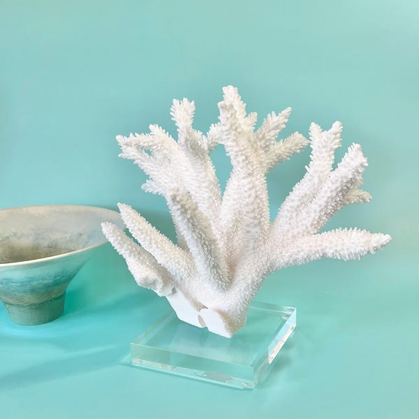 Large White Coral - Etsy