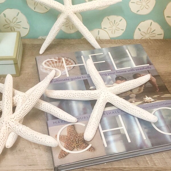 Starfish Decor - Etsy