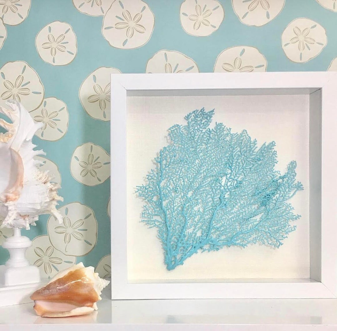 Framed Sea Fan - Hand-painted Natural Sea Fan - Beach Decor/coastal ...