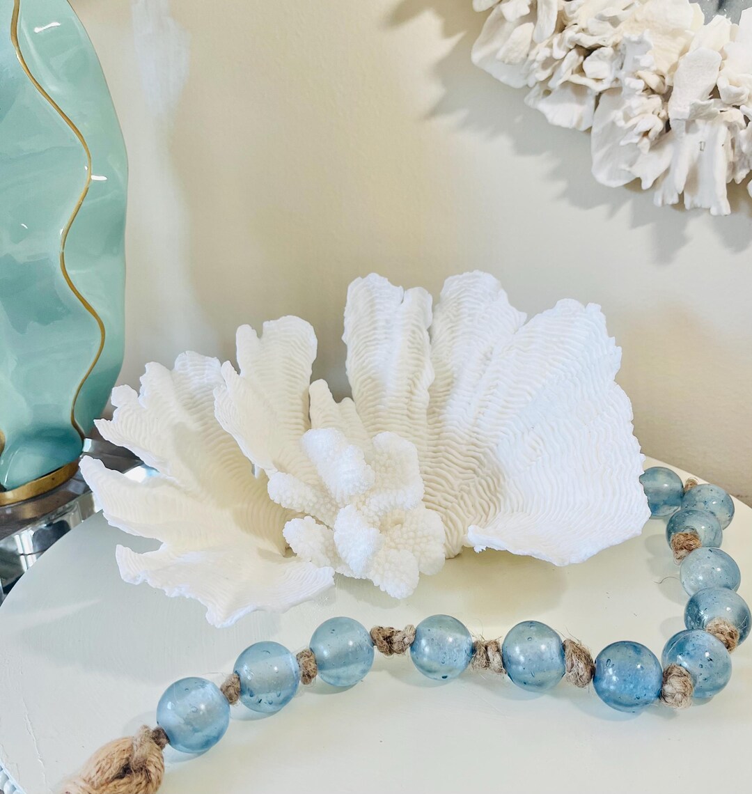Real Corals - These Corals Create a Stunning Coastal Decor Accent and a ...
