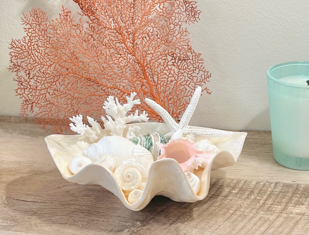 Capiz Shell Bowl With Sea Life - Seashells-beach Decor-sea Shell Decor ...