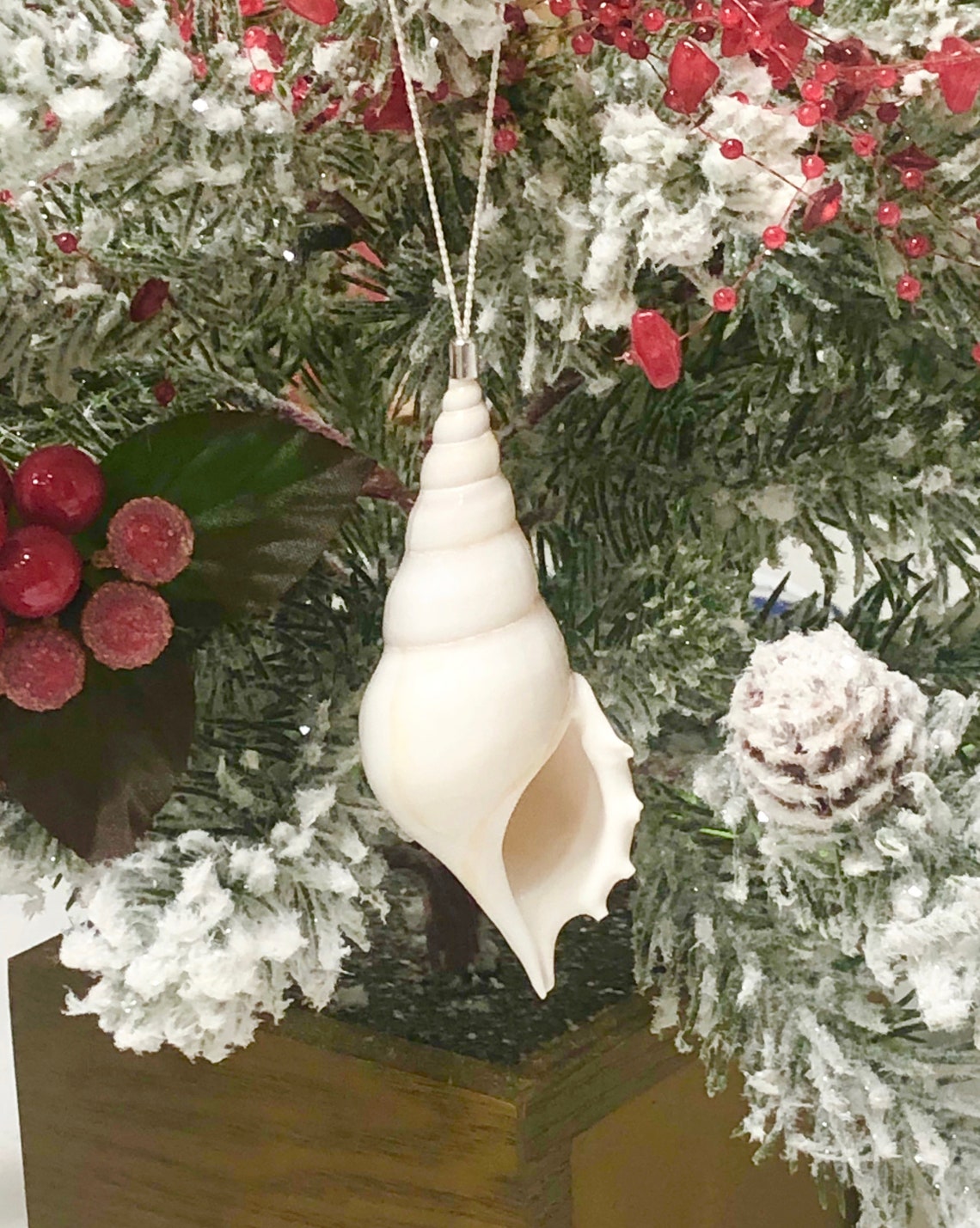 Beach Christmas Ornament Tibia Shell Natural Real Sea - Etsy