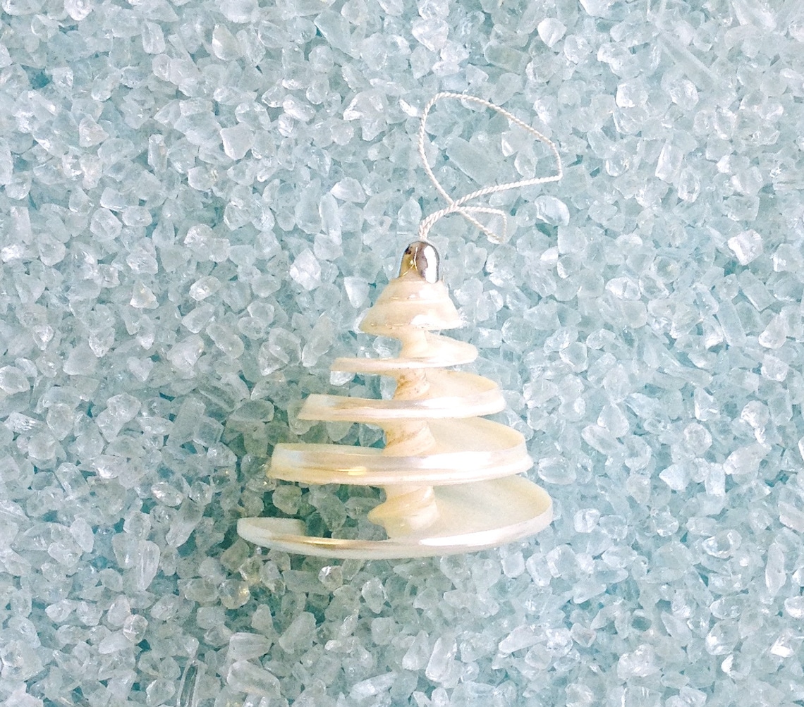 Beach Christmas Shell Ornament Spiral Cut Troca Shell - Etsy