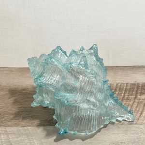 Decorative Faux Shell With Natural Coral Beach Coastal Style Decor - Etsy