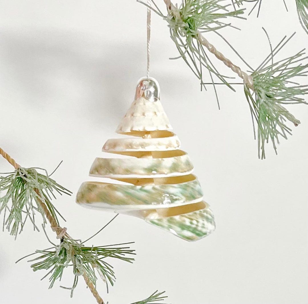 Beach Christmas Real Shell Ornament - Spiral Cut Green and White Troca ...