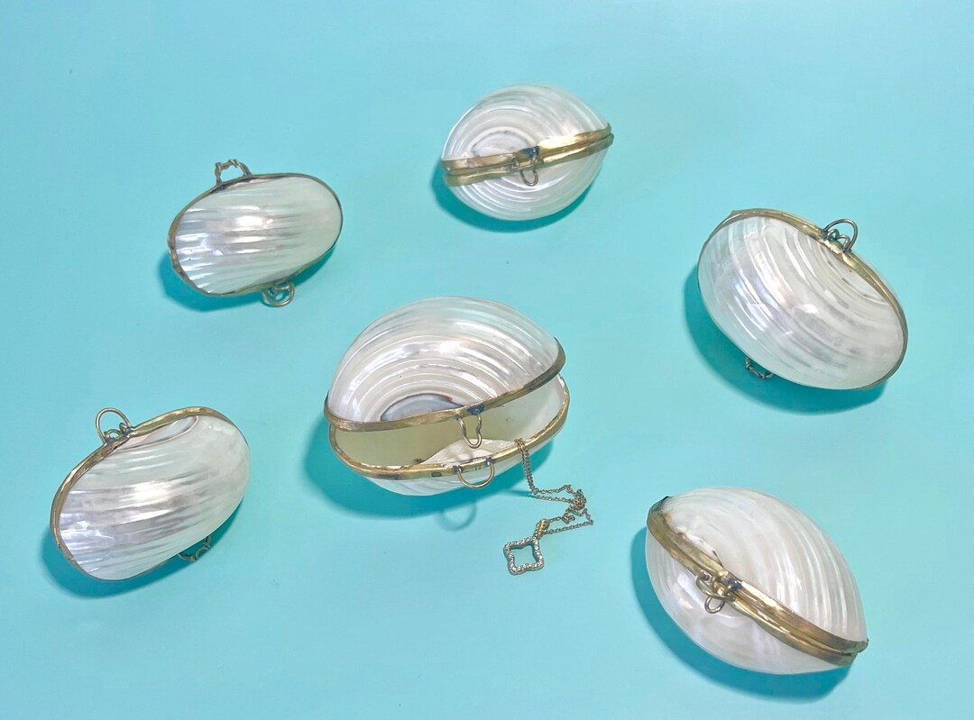 Real Seashell Ring Box, Beach Wedding, Pill Box Jewelry Beach Coastal ...