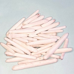 Shells White Urchin Spine Shells Set of 10 23 Beach Home Decor-sea ...