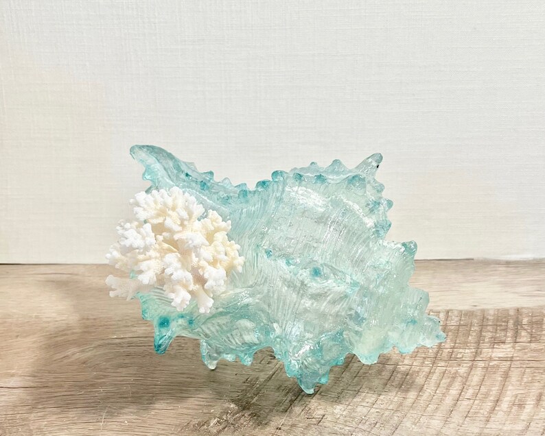 Decorative Faux Shell With Natural Coral Beach Coastal Style | Etsy