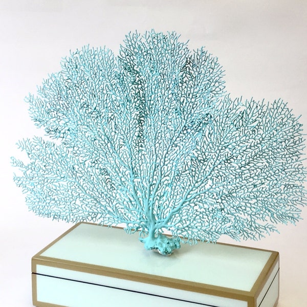 Blue Sea Fan - Etsy